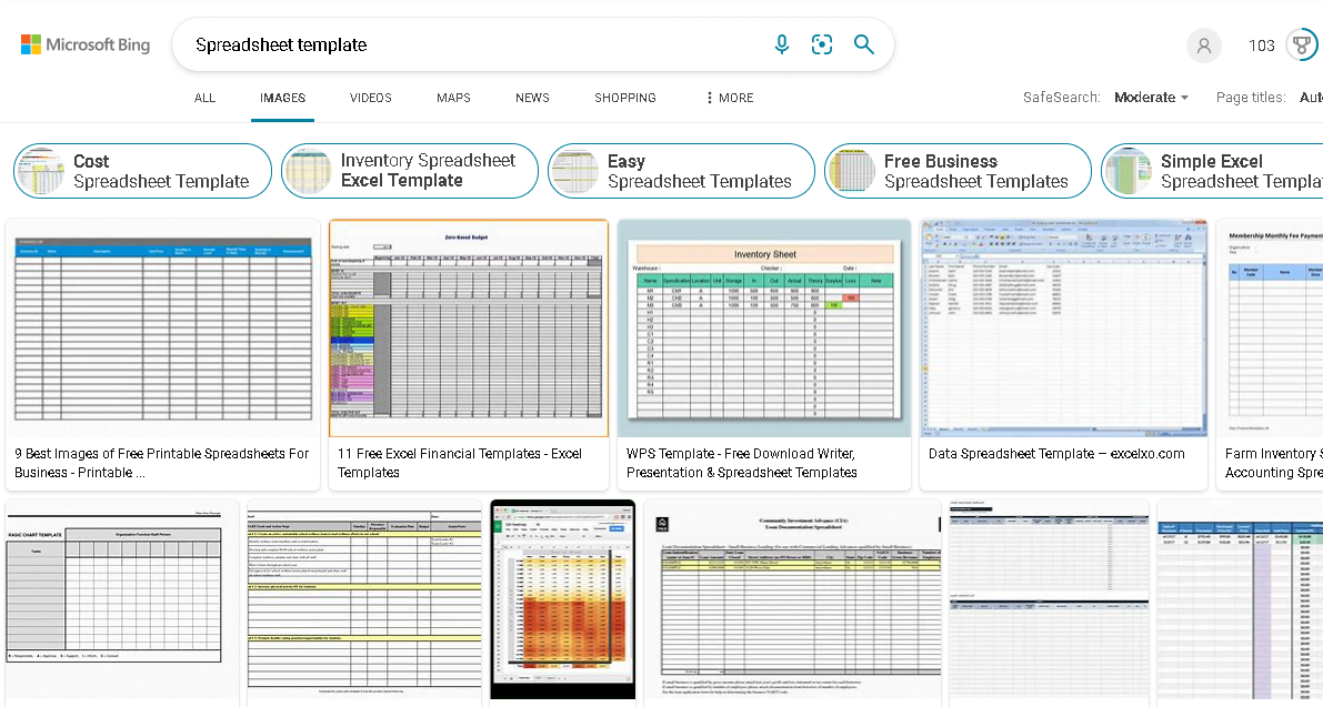 Spreadsheet solutions for your business - CMMS Success